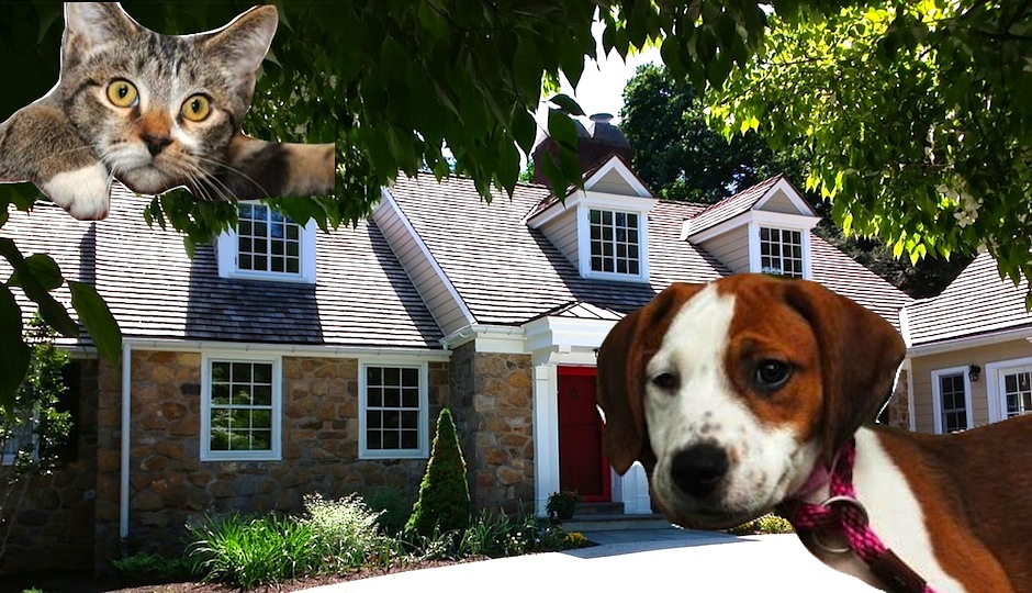 Local Real Estate Agents Give to Delco SPCA For House Sales