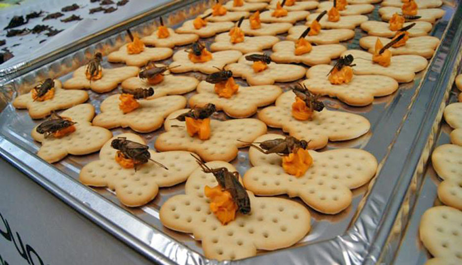 Edible Bugs and Food Trucks at Greenfest - Philadelphia Magazine