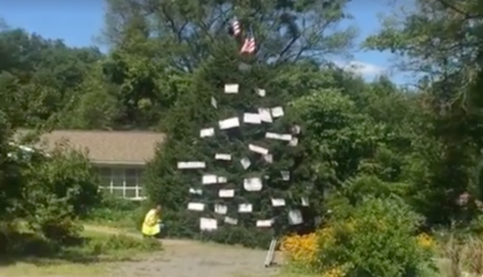 The Trump Tree: A Pa. Woman Covered a Tree in Trump Signs