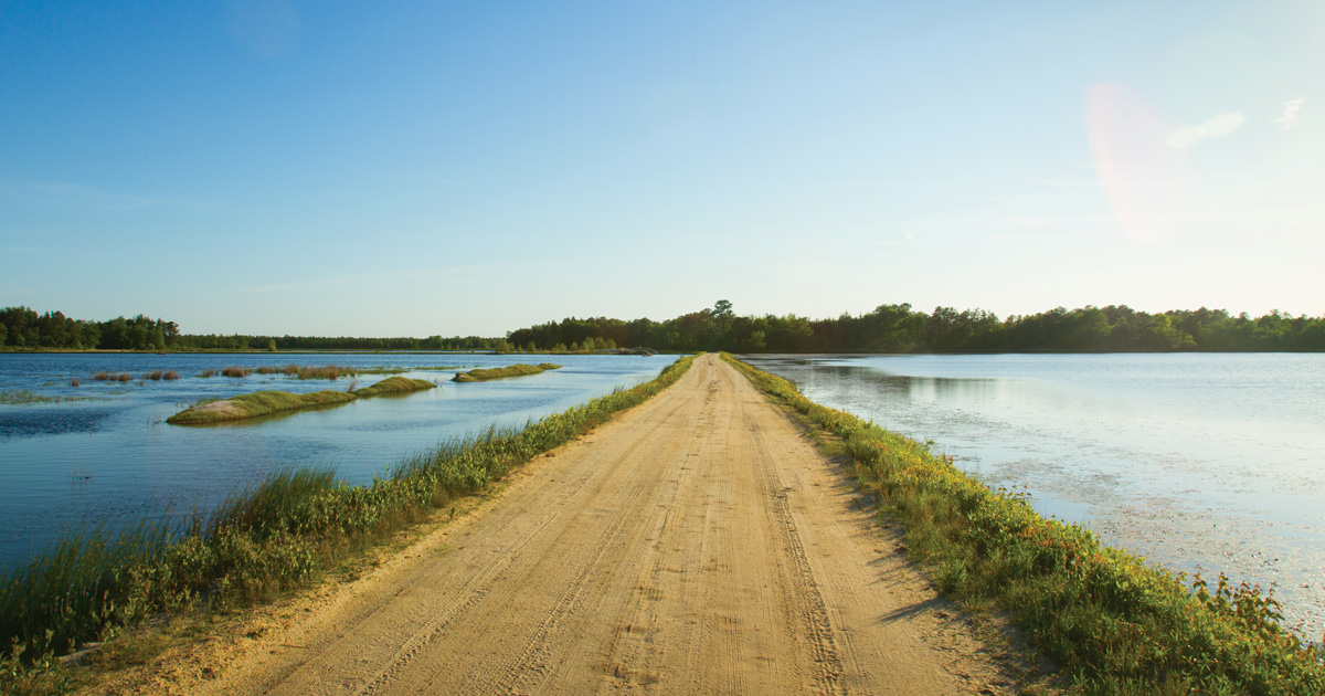 Your Guide to Exploring the Pinelands and Wharton State Forest